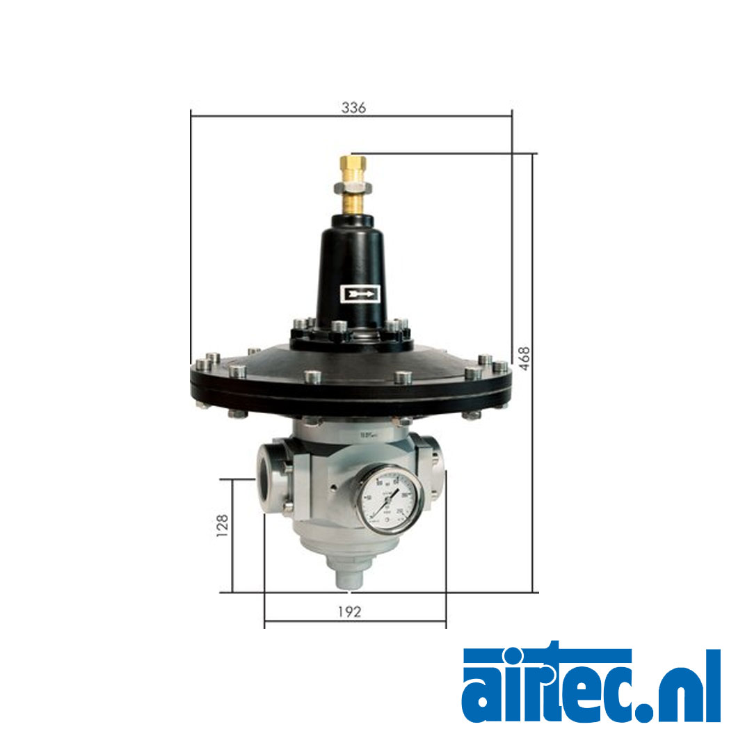 RPM 20-1000 - Präzisions-Druckminderer G 2, 100 - 1000 mbar